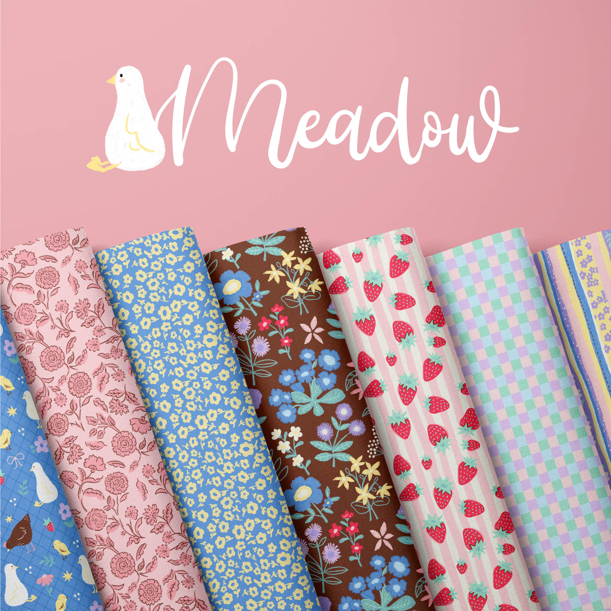 Preorder Collections – The Colour Collab